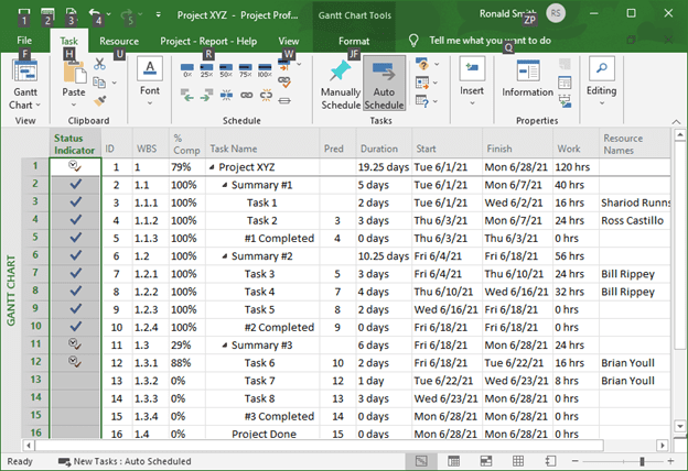 Displaying Values Graphically using Microsoft Project Displaying Values Graphically using Microsoft Project